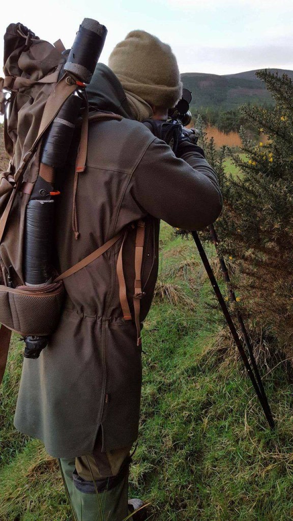 Rock Solid – Viper Flex Quad Shooting Sticks… – Best Deer Call