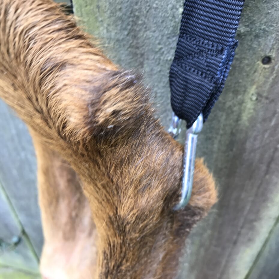 Best Deer Call EasyDrag – NEW PRICE – Best Deer Call